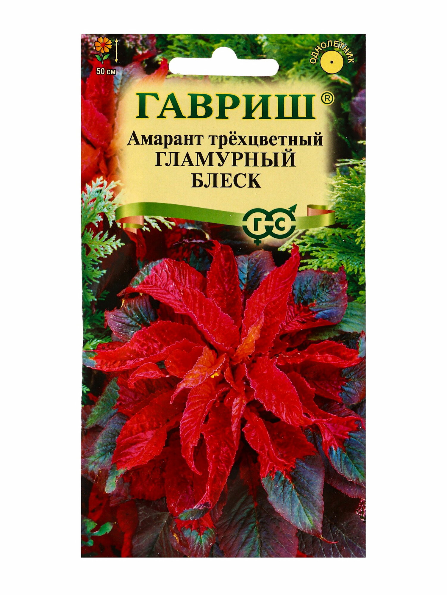 Семена цветов Амарант Гламурный блеск, размер упаковки: 8 x 0.1 x 15 см, 3 шт.