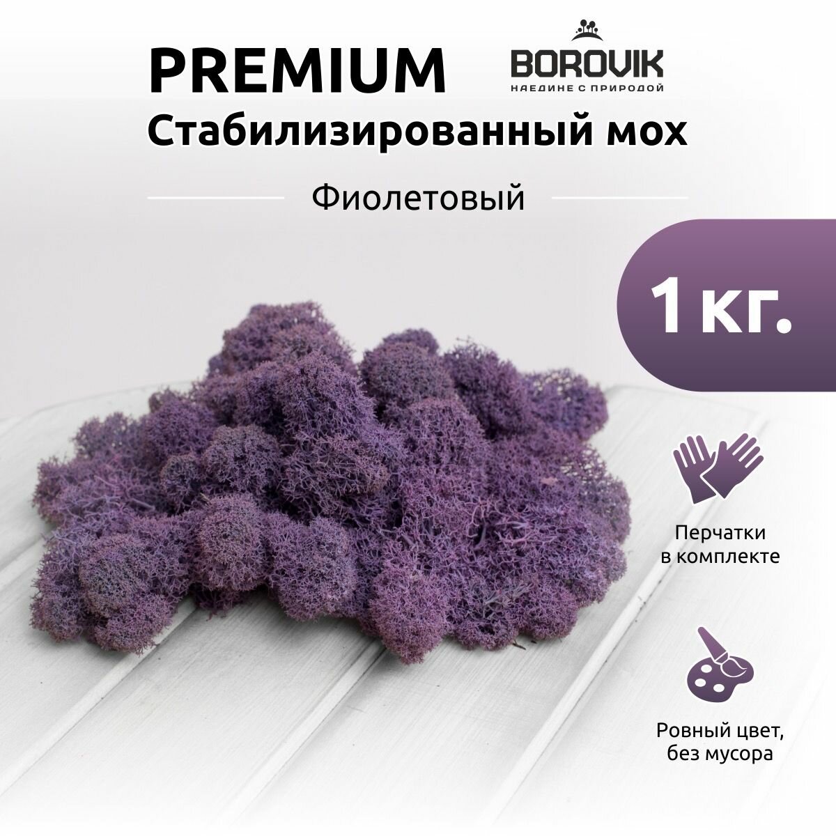 Стабилизированный мох