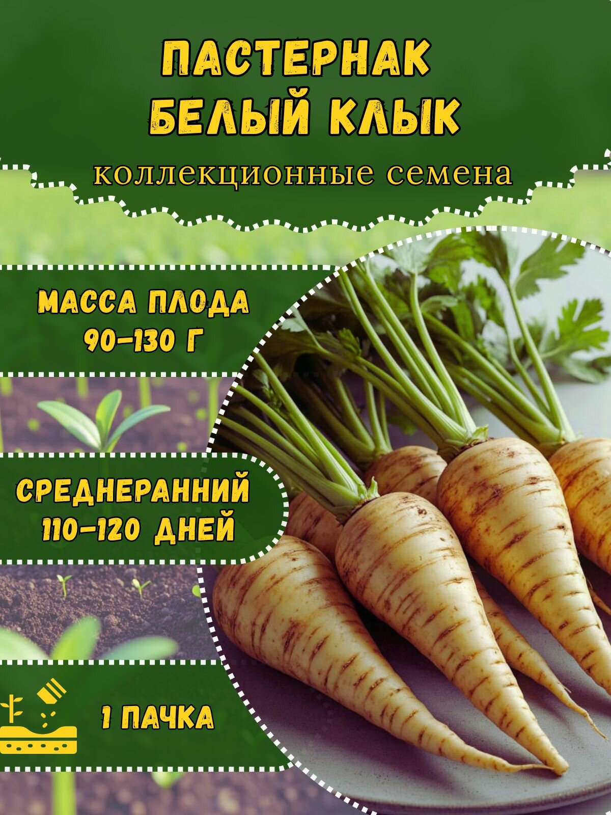 Семена Пастернака "Белый Клык", 10 семян