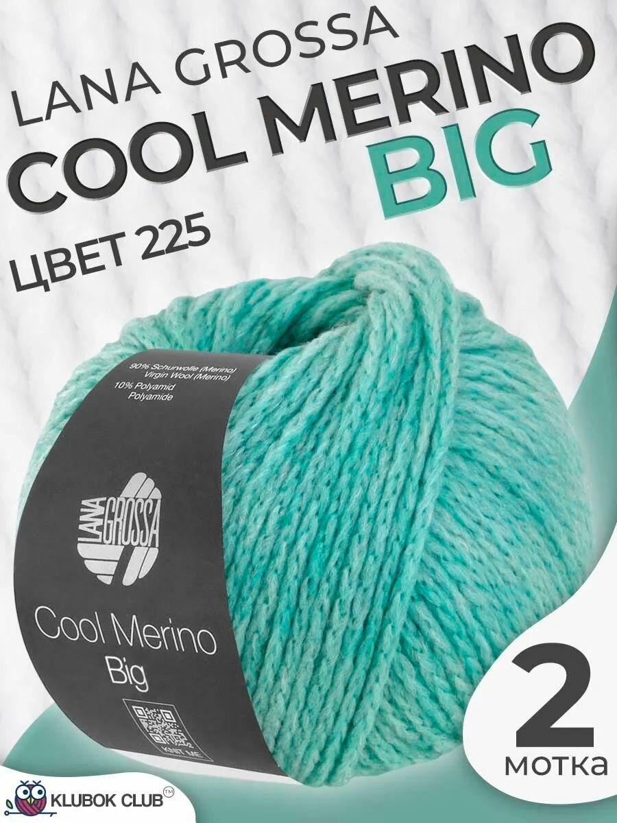 Пряжа для вязания Lana Grossa Cool Merino Big шнурок, цвет 225, 2 мотка
