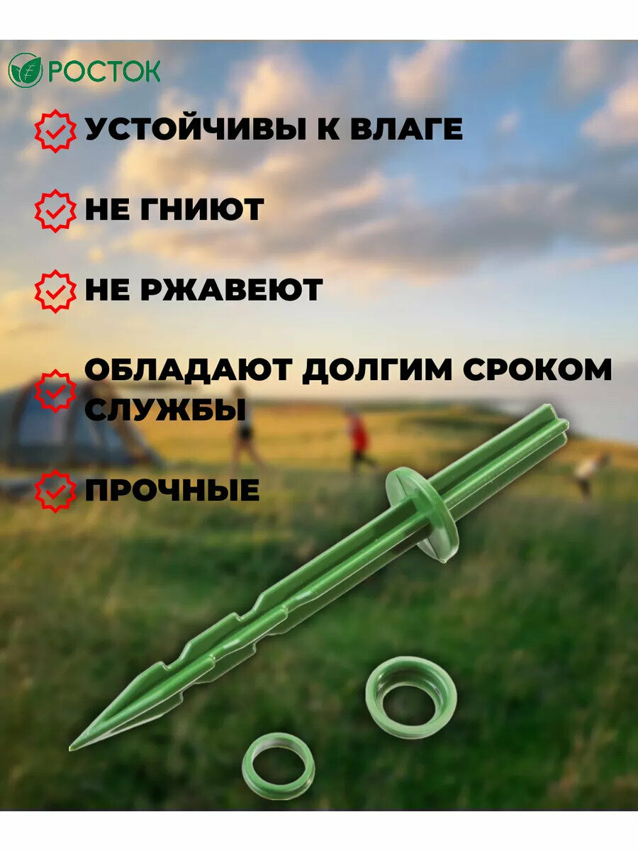 Набор Колышки садовые GRINDA 200мм, 10шт {422319} (2 шт)