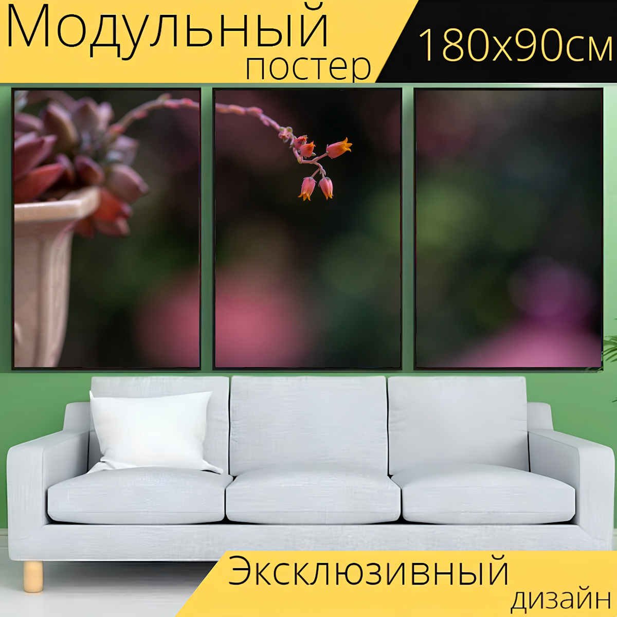 Модульный постер "Каменного лотоса, каменный лотос, цветок" 180 x 90 см. для интерьера на стену в тубусе