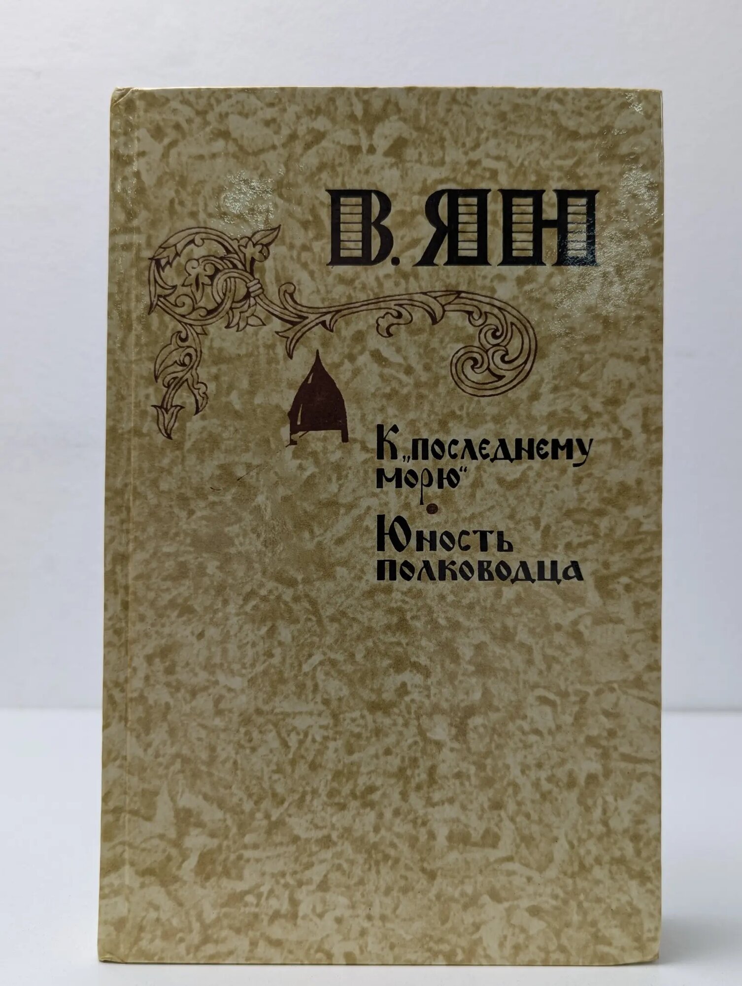 К последнему морю. Юность полководца Ян Василий Григорьевич 1981