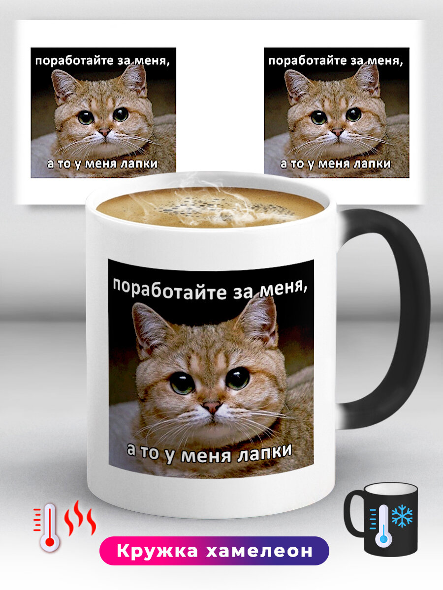 Кружка хамелеон с приколом мем котик Поработайте за меня