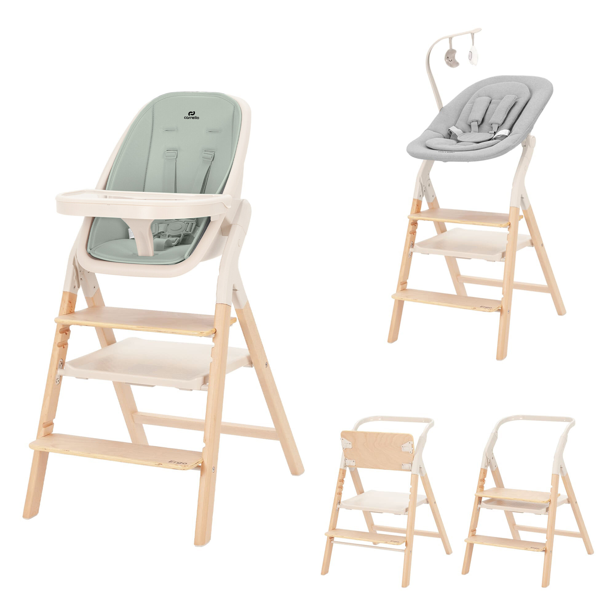 Стульчик для кормления Carrello Ergo 4в1 CRL-16701 Elora Green