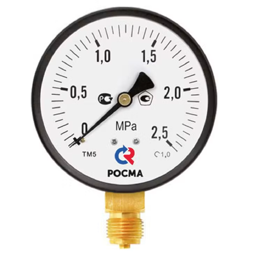 Манометр Росма ТМ-510Р.00 (0-6 МПа) М20х1.5 1.0 общетехнический 100 мм, радиальное присоединение, 0-6 МПа, класс точности 1