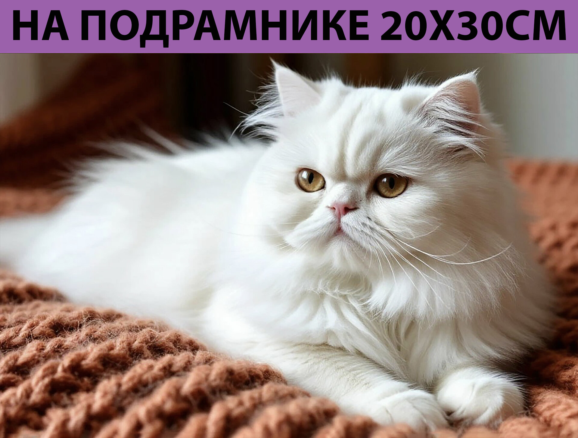 Алмазная мозаика на подрамнике 20х30 Белый кот, алмазная вышивка на подрамнике 20х30, картина стразами, творчество