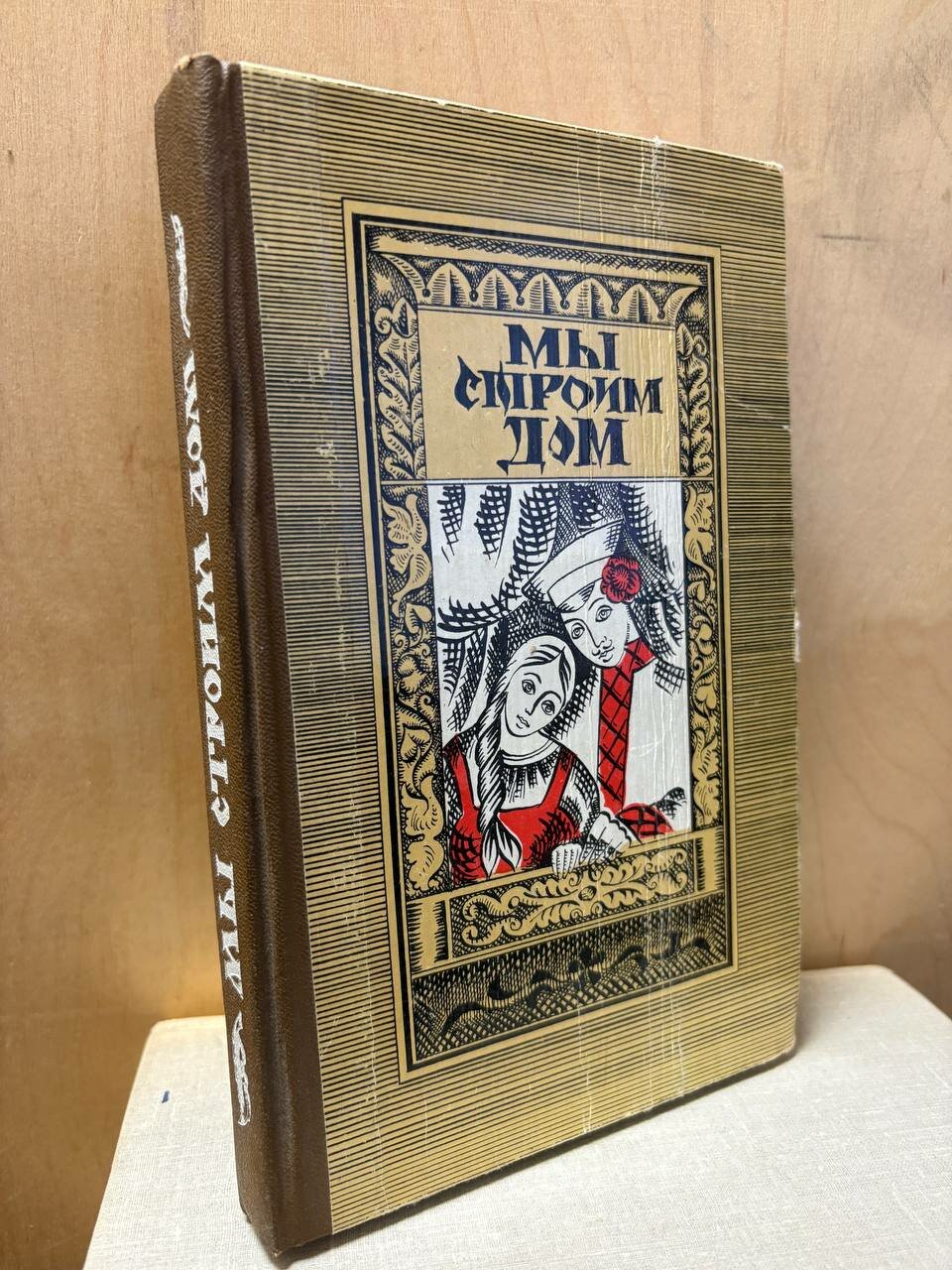 Мы строим дом: Книга о молодой семье