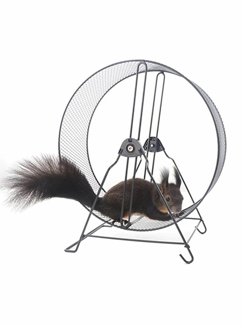 Колесо Для Хомяка