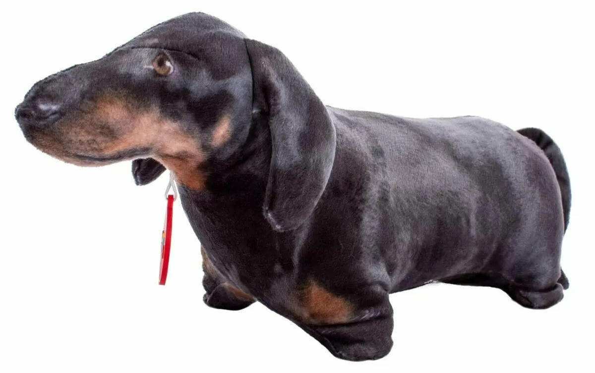 Мягкая игрушка мягконабивная Tallula Такса 32х18 см