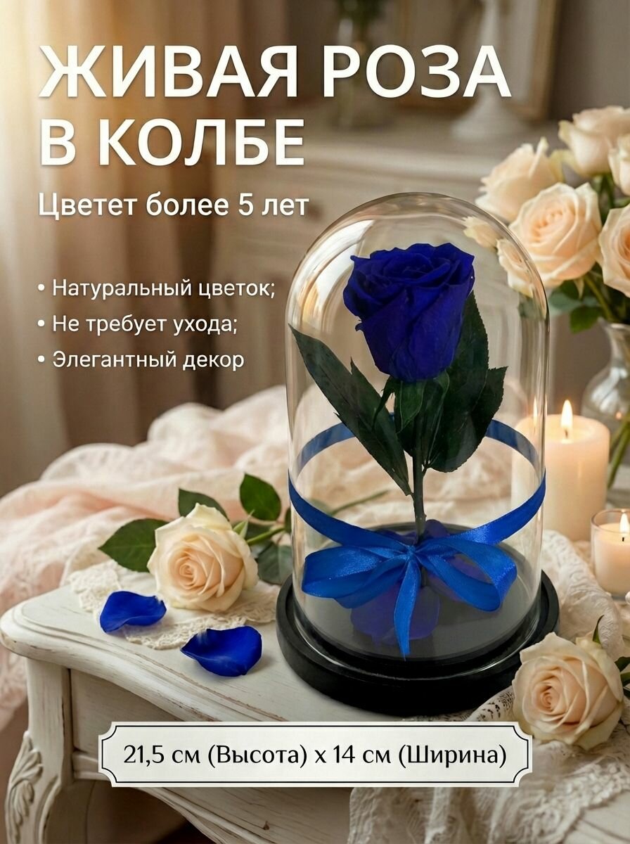 Стабилизированные цветы в стекле, Роза в колбе живая Glamur синий , GIFT4YOU