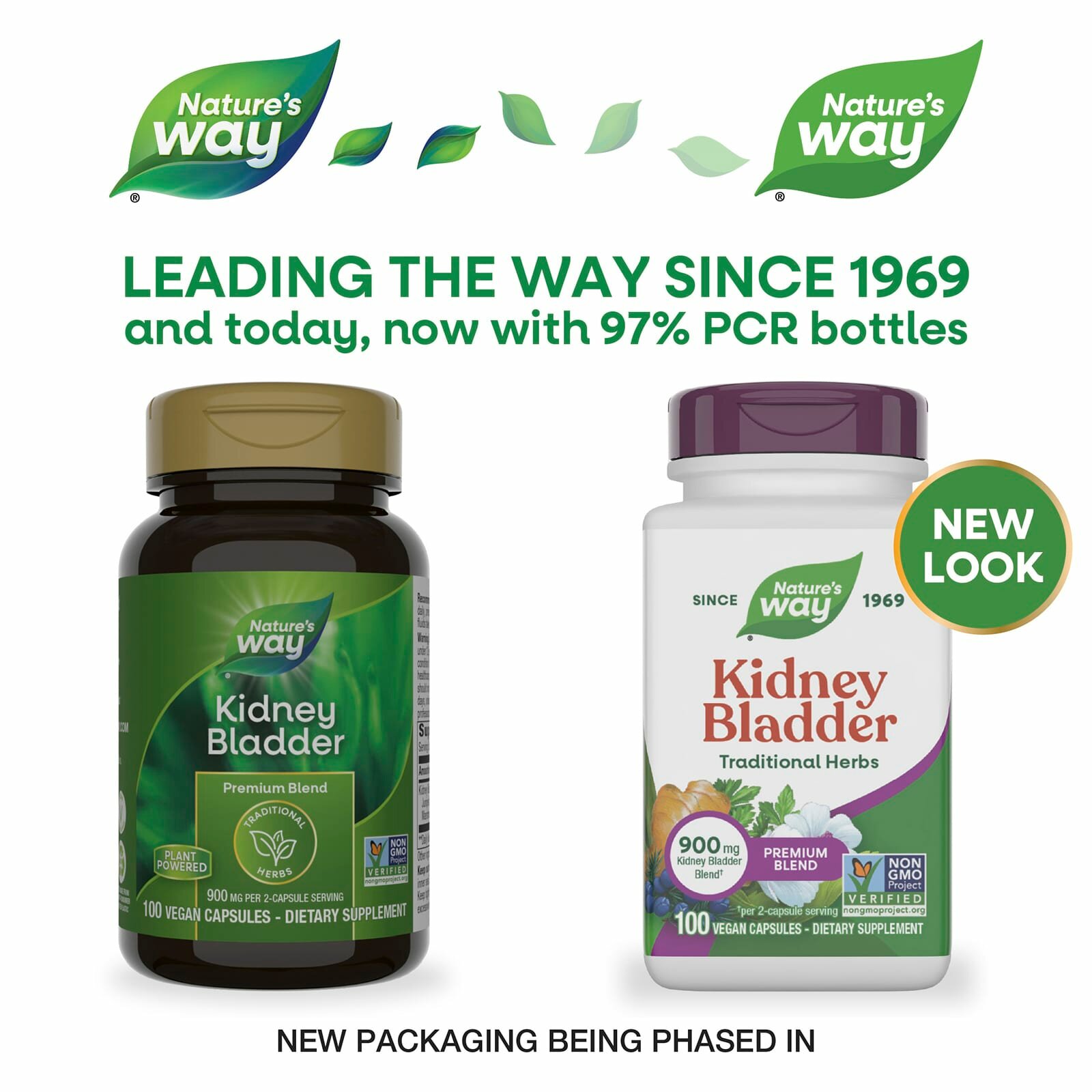 Nature's Way, добавка для почек и мочевого пузыря, 100 веганских капсул