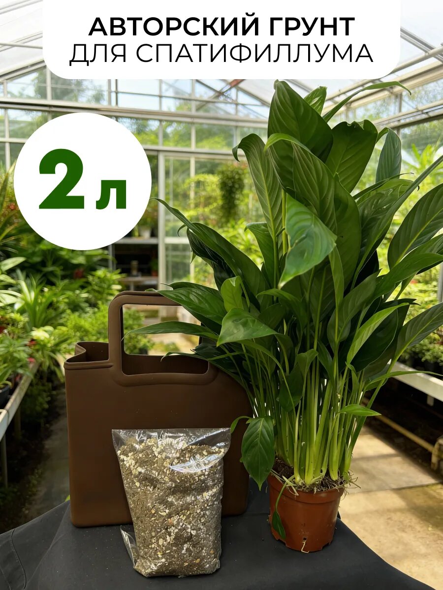 Авторский профессиональный грунт для спатифиллумов 2 литра от Sinitsa_Leaf