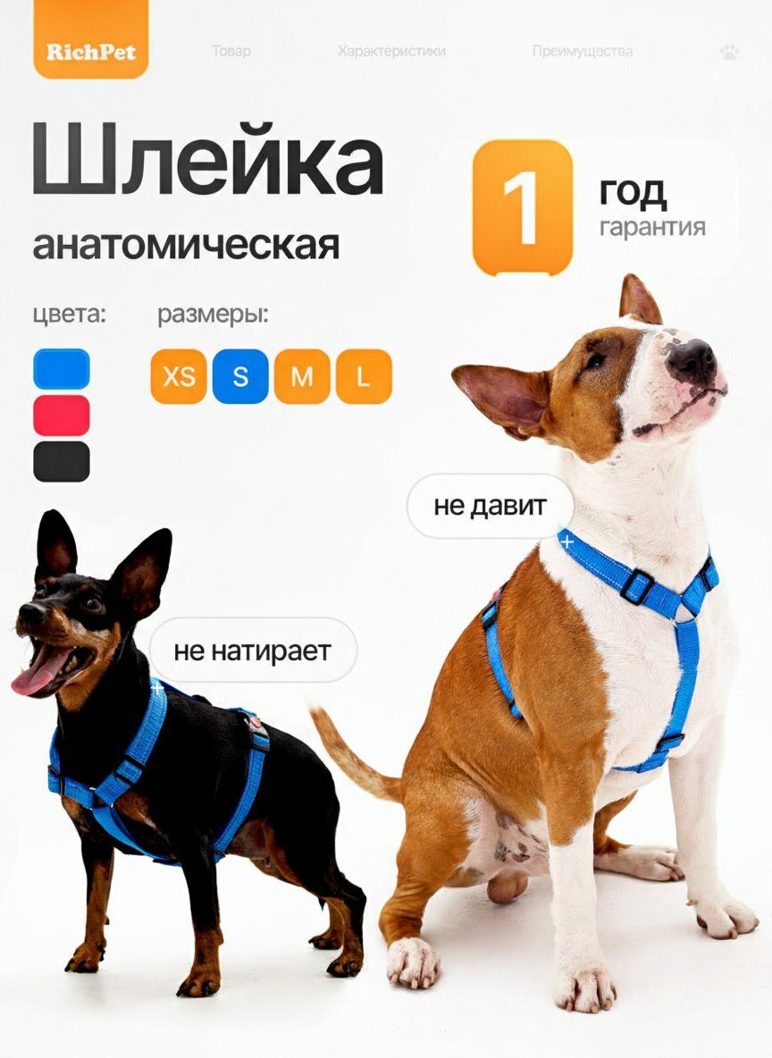 Шлейка для собак мелких средних пород RichPet, цвет синий, размер S