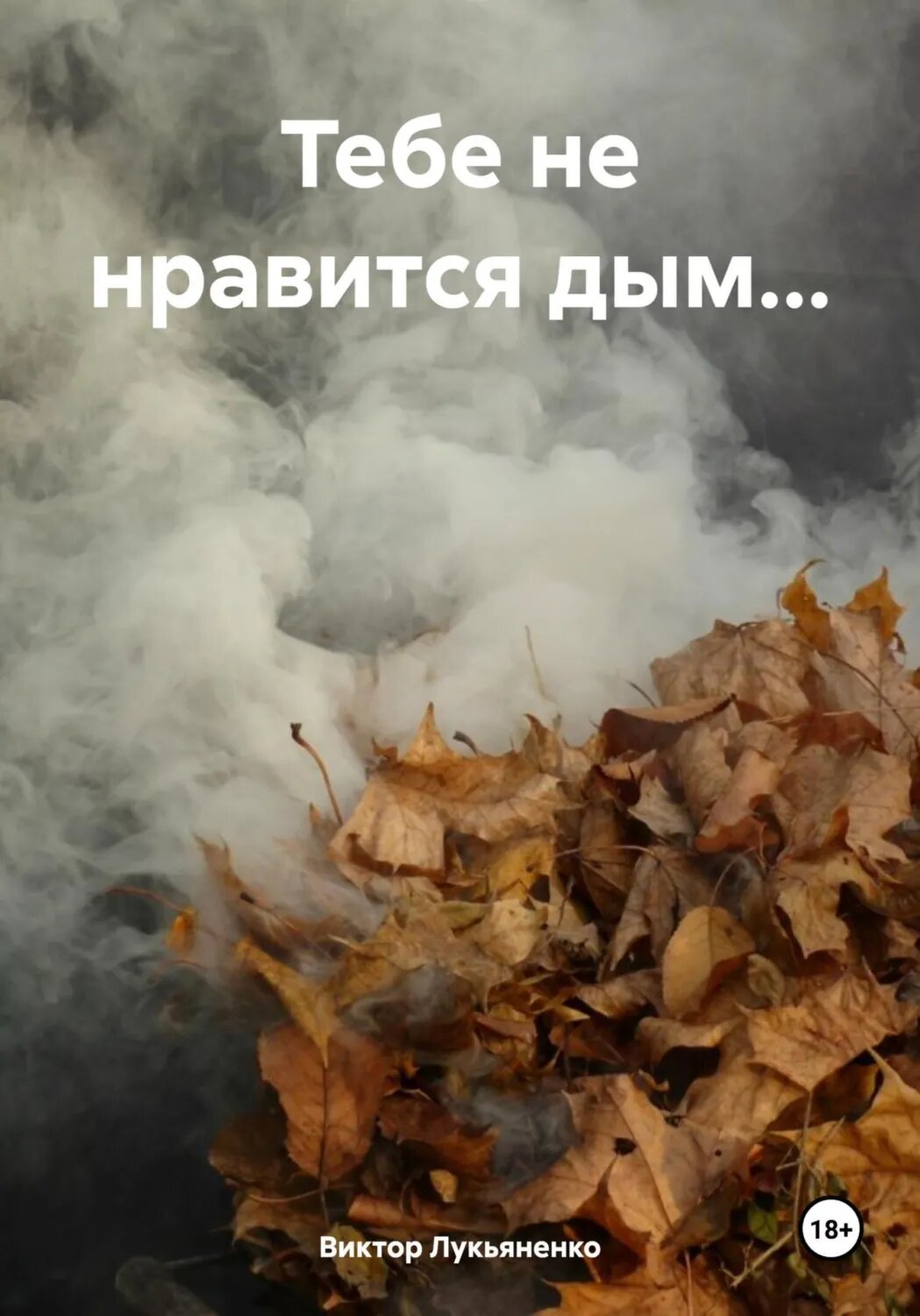 Тебе не нравится дым… [Цифровая книга]