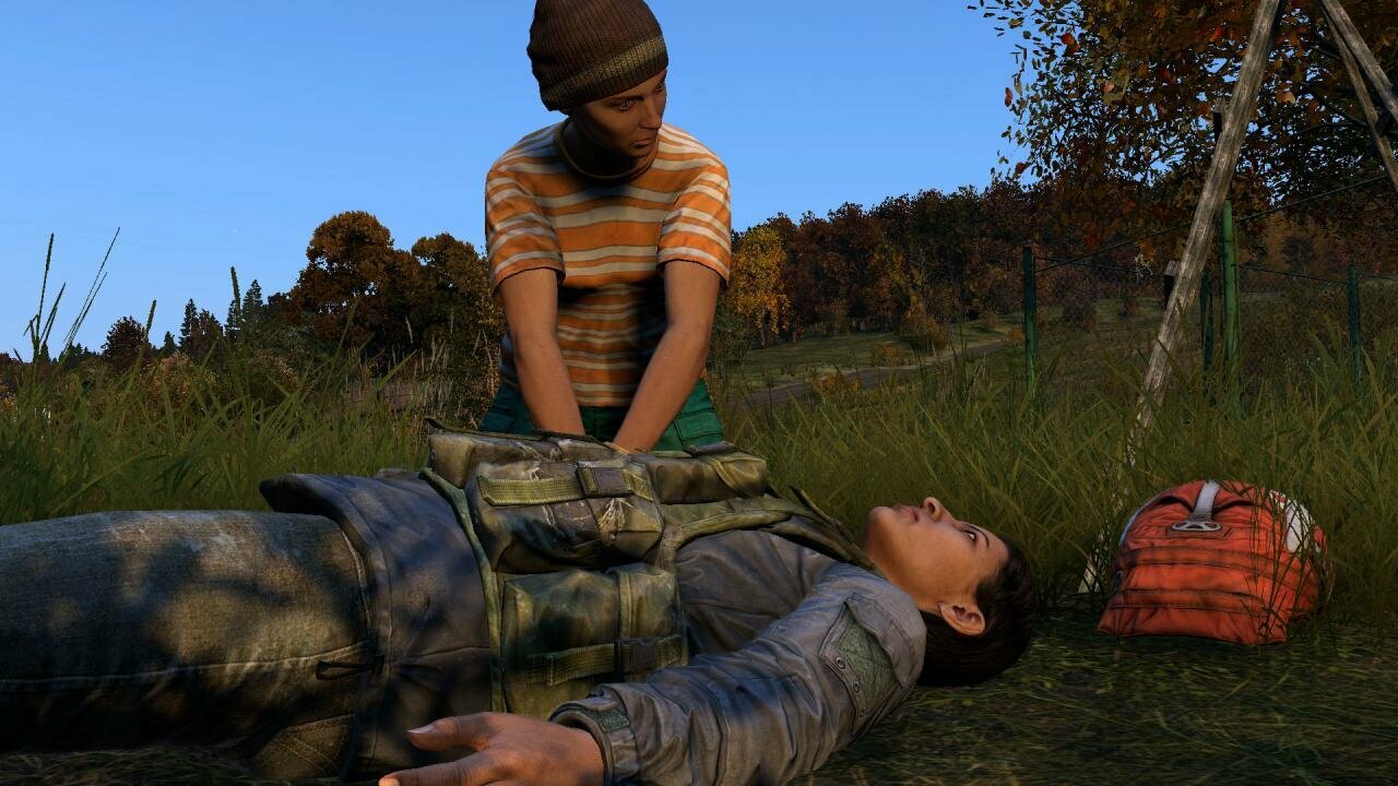 DayZ PS4 Аккаунт • Активация аккаунта • регион Весь мир • цифровой ключ