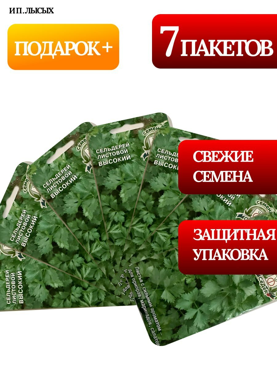 Семена Сельдерей "Высокий"