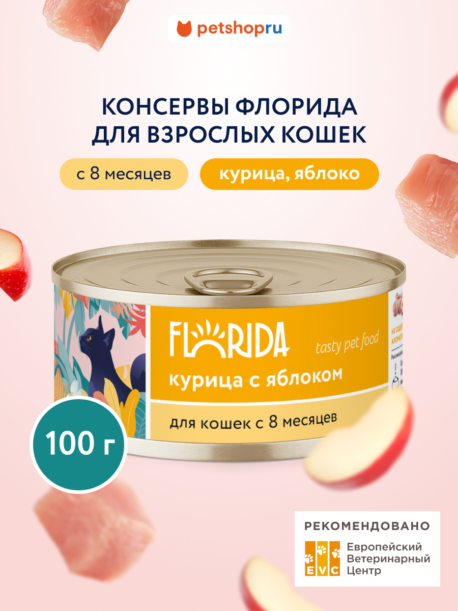 FLORIDA Консервы для кошек, курица с яблоком, 1 шт, влажный корм, 100 г