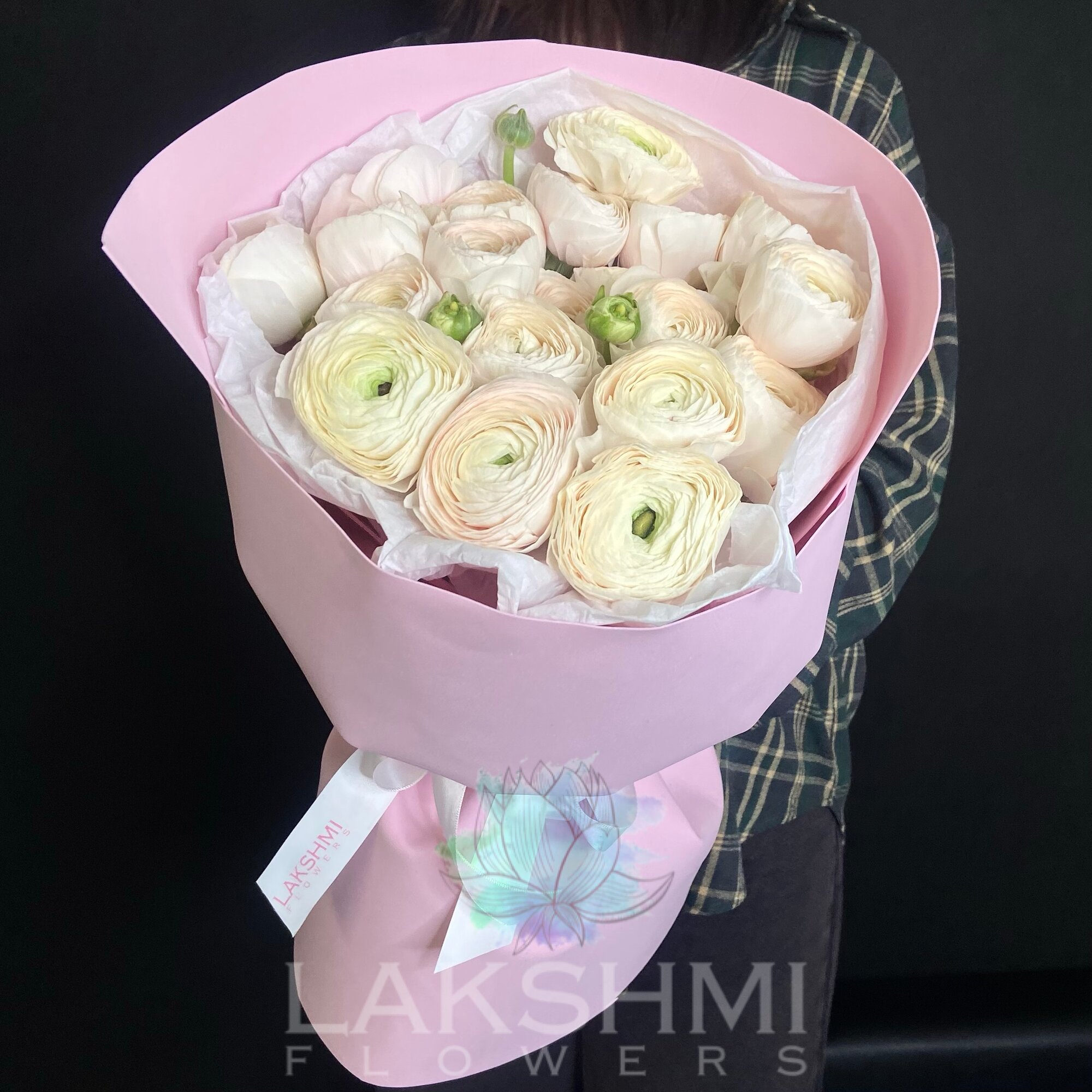 21 ранункулюс / Букет из 21 кремового ранункулюса сорта «Ханой»