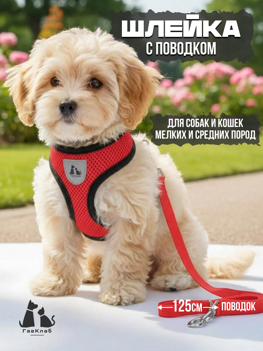 Шлейка для собак