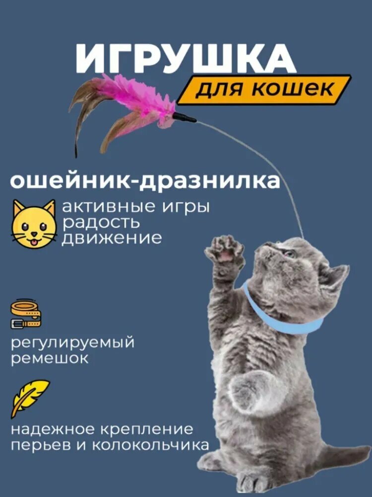 Игрушка ошейник-дразнилка для котов, кошек, котят. Игрушка с перьями, колокольчиком для активной самостоятельной игры и совместно с хозяином
