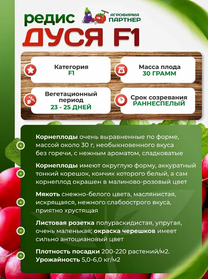 Семена редиса Дуся — фото 1