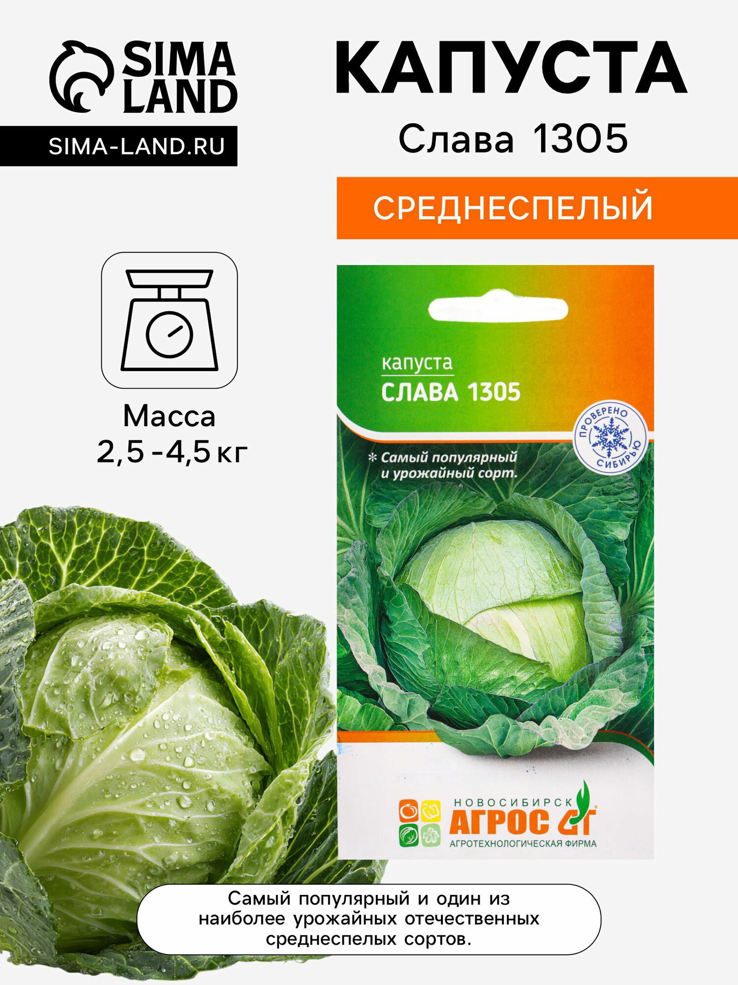 Семена Капуста "Слава 1305", 0.3 г, применение: для засолки и маринования, 5 шт.