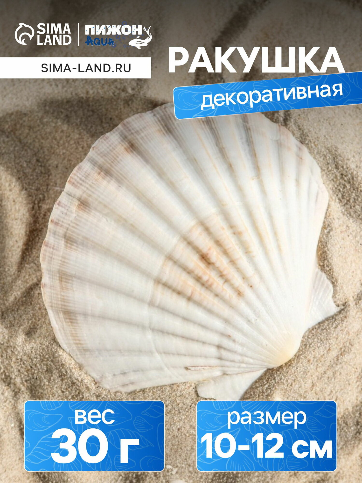 Ракушка декоративная Гребешок, 10-12 см, вид декора: ракушки