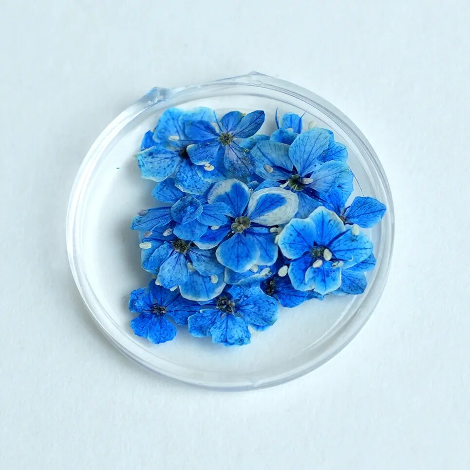 Сушеные цветы синие, Treasure Blue, для дизайна ногтей