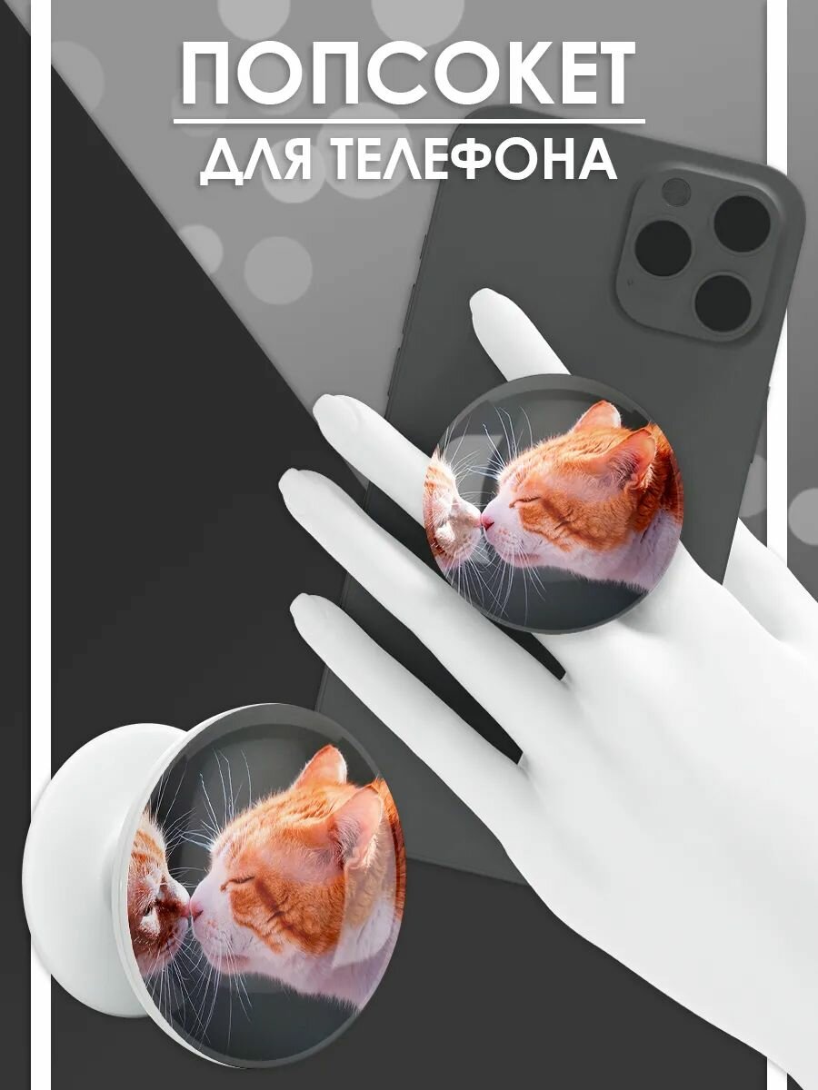 Попсокет Парные котики, держатель для телефона