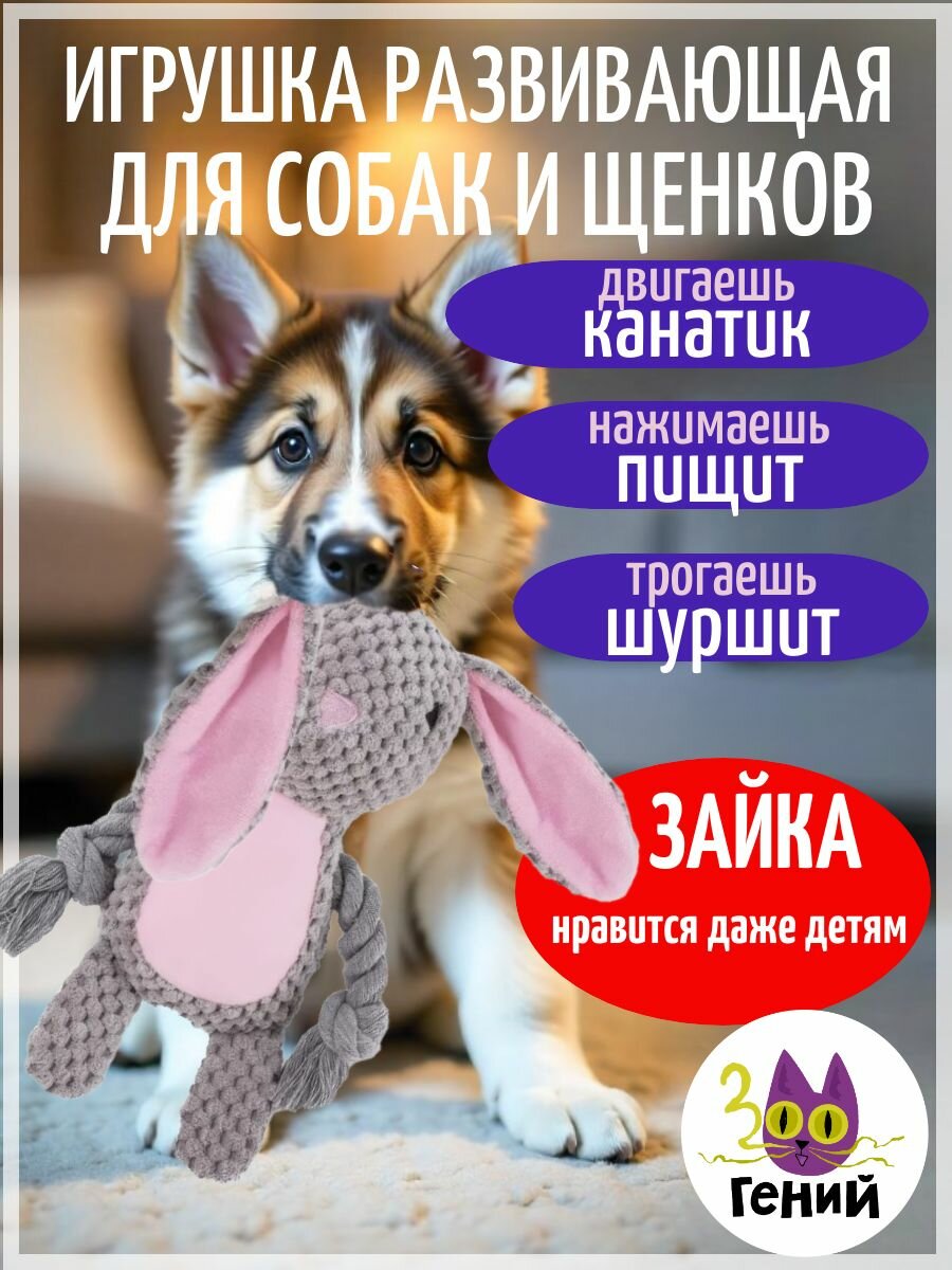 Интерактивная игрушка для собак с пищалкой, шуршалкой и канатиками зайка