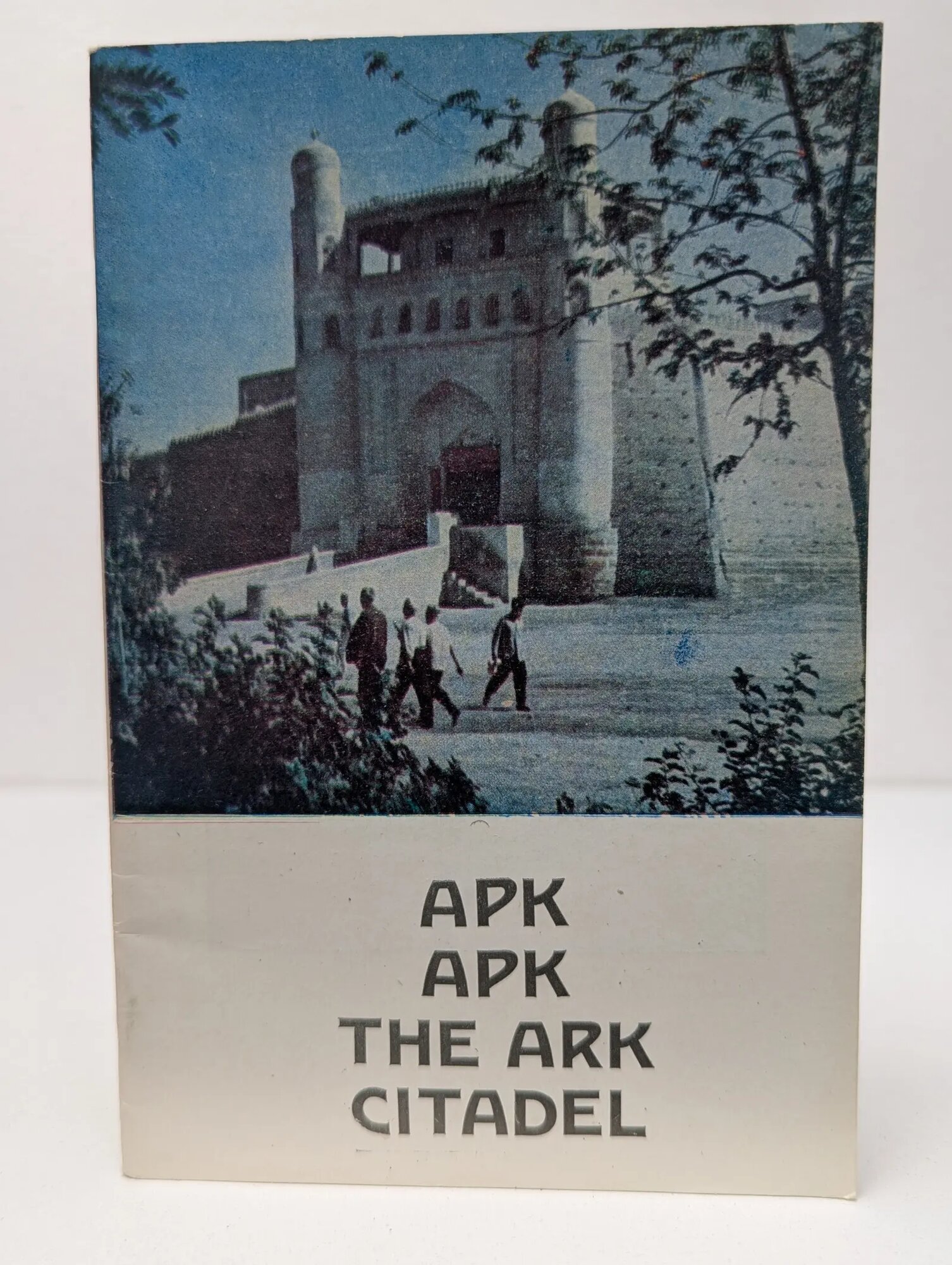 Арк. The Ark Citadel Чехович Ольга Дмитриевна 1976
