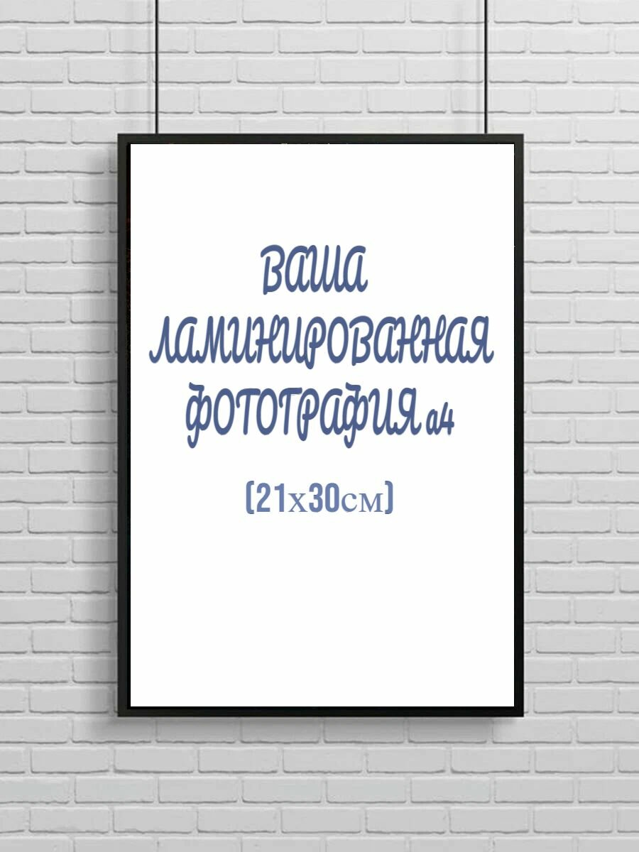 Ламинированное фото А4