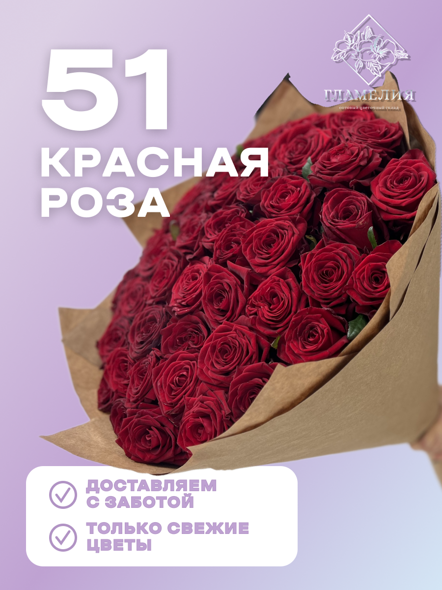 Гламелия цветы «Королевский бархат»: 51 роза Red Naomi в крафте – купить свежие цветы с доставкой в Москве