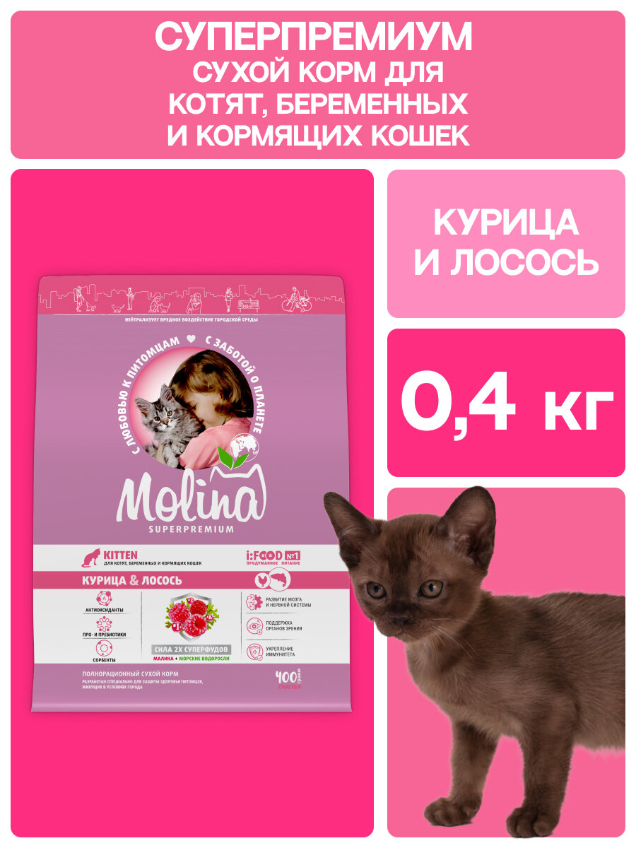Сухой корм для котят с курицей и лососем CAT KITTEN CHICKEN WITH SALMON, 0,4 кг MOLINA