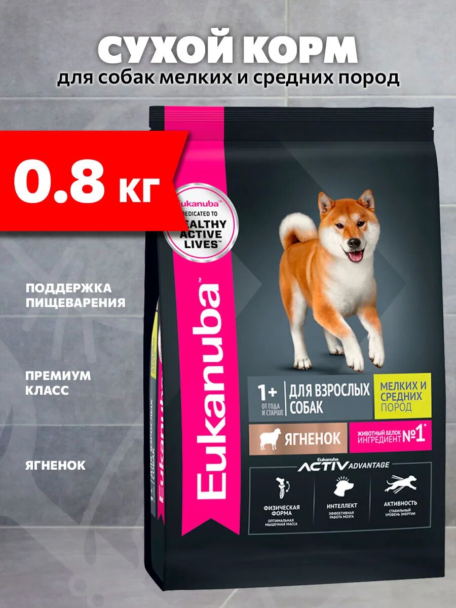 Корм сухой Eukanuba для взрослых собак маленьких и средних пород, ягненок, 800 г