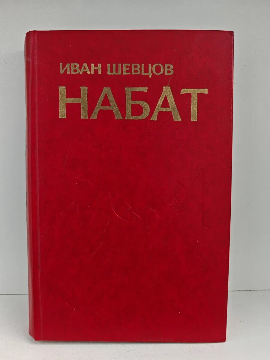 Набат: Роман