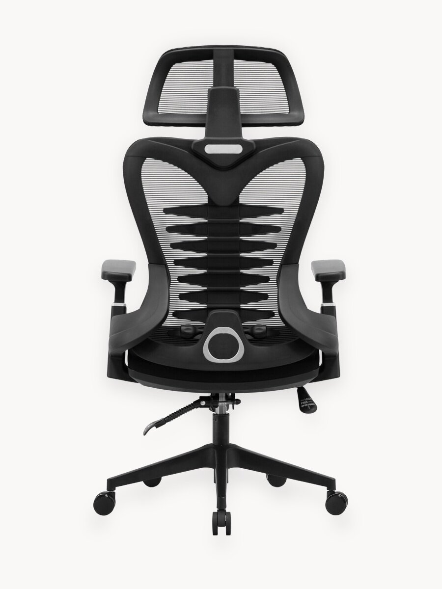 Кресло офисное эргономичное Evolution HarmonySpine, Анификс, Сетчатая спинка