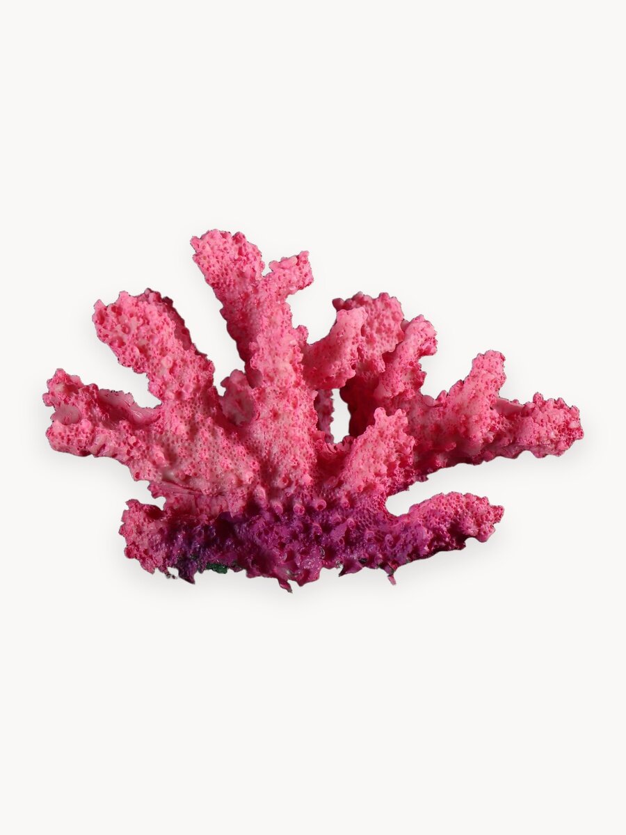 Декоративный коралл Пижон Aqua "Синулярия" для аквариума, пластик, 10x5x6,5см