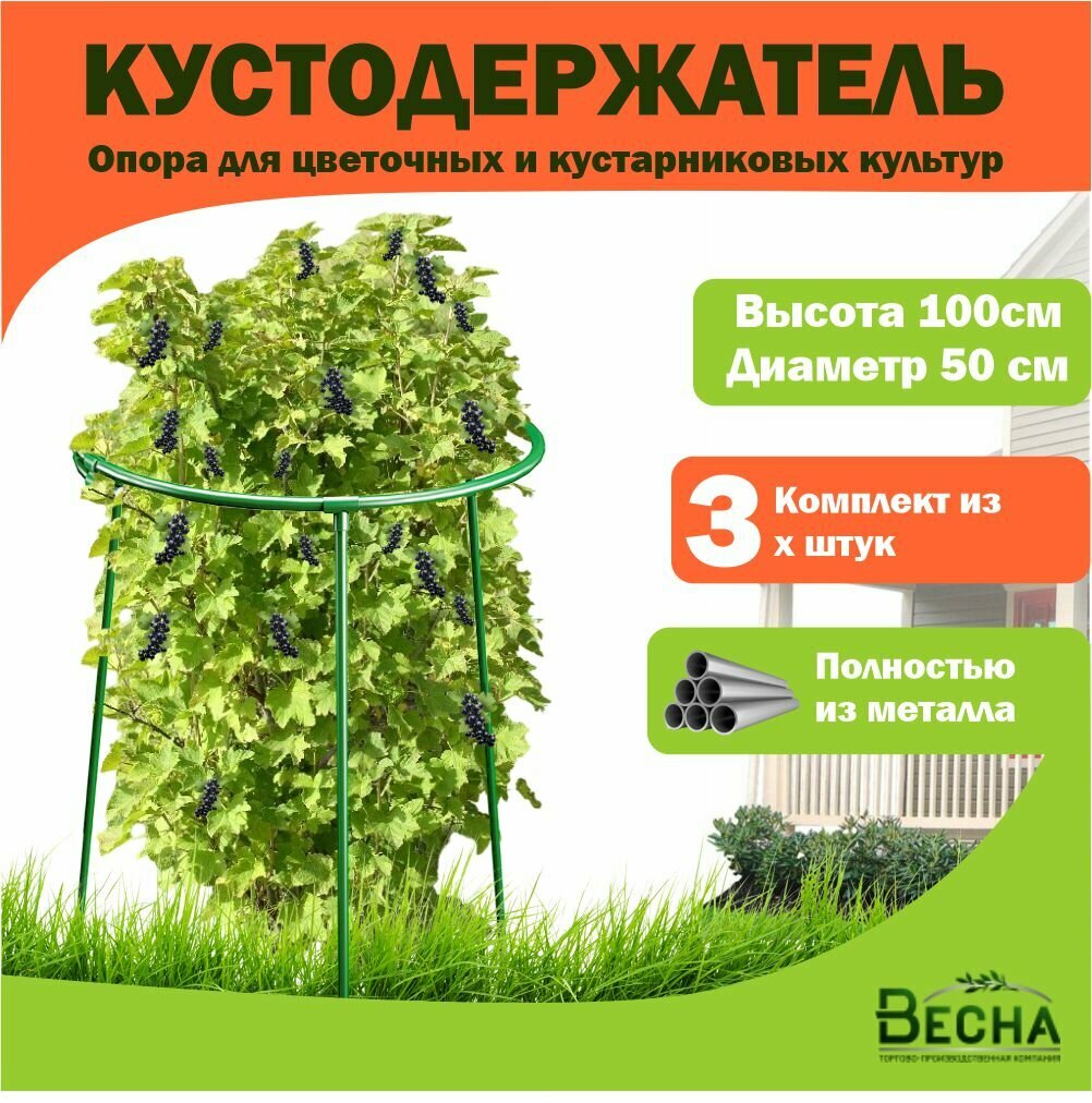 Металлический кустодержатель "тренога" (диаметр 50 см высота 100 см) 3 шт