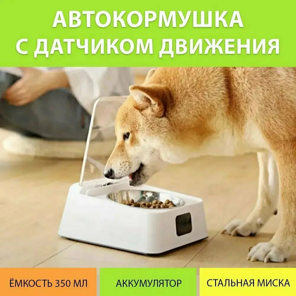2024 Кормушка автоматическая для влажного и сухого корма с автоматическим открыванием крышки, миска с датчиком движения