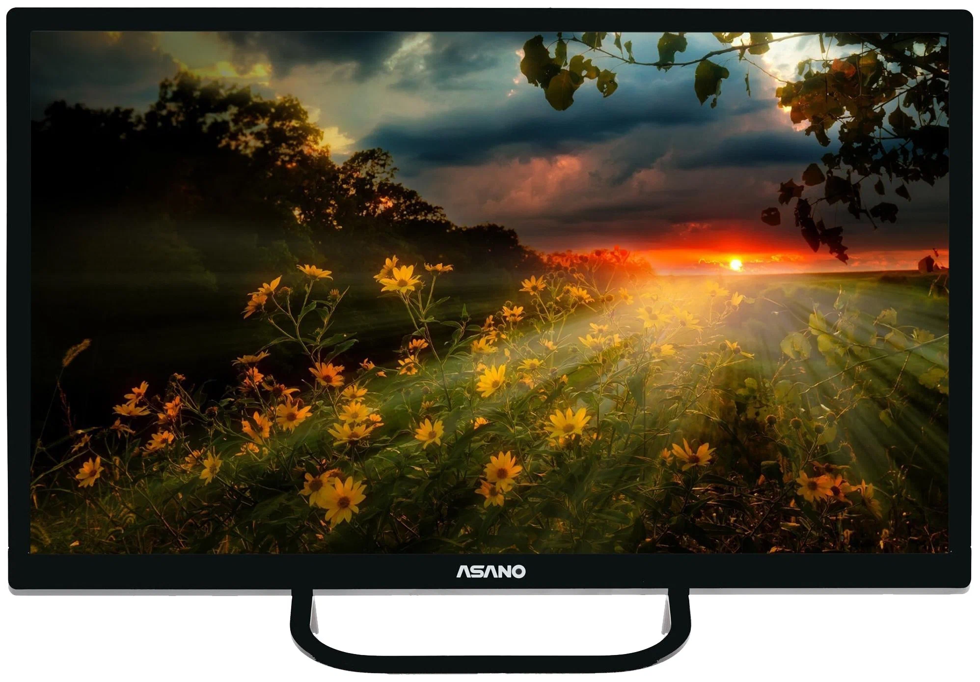 Телевизор LED Asano 24LH1110T, черный