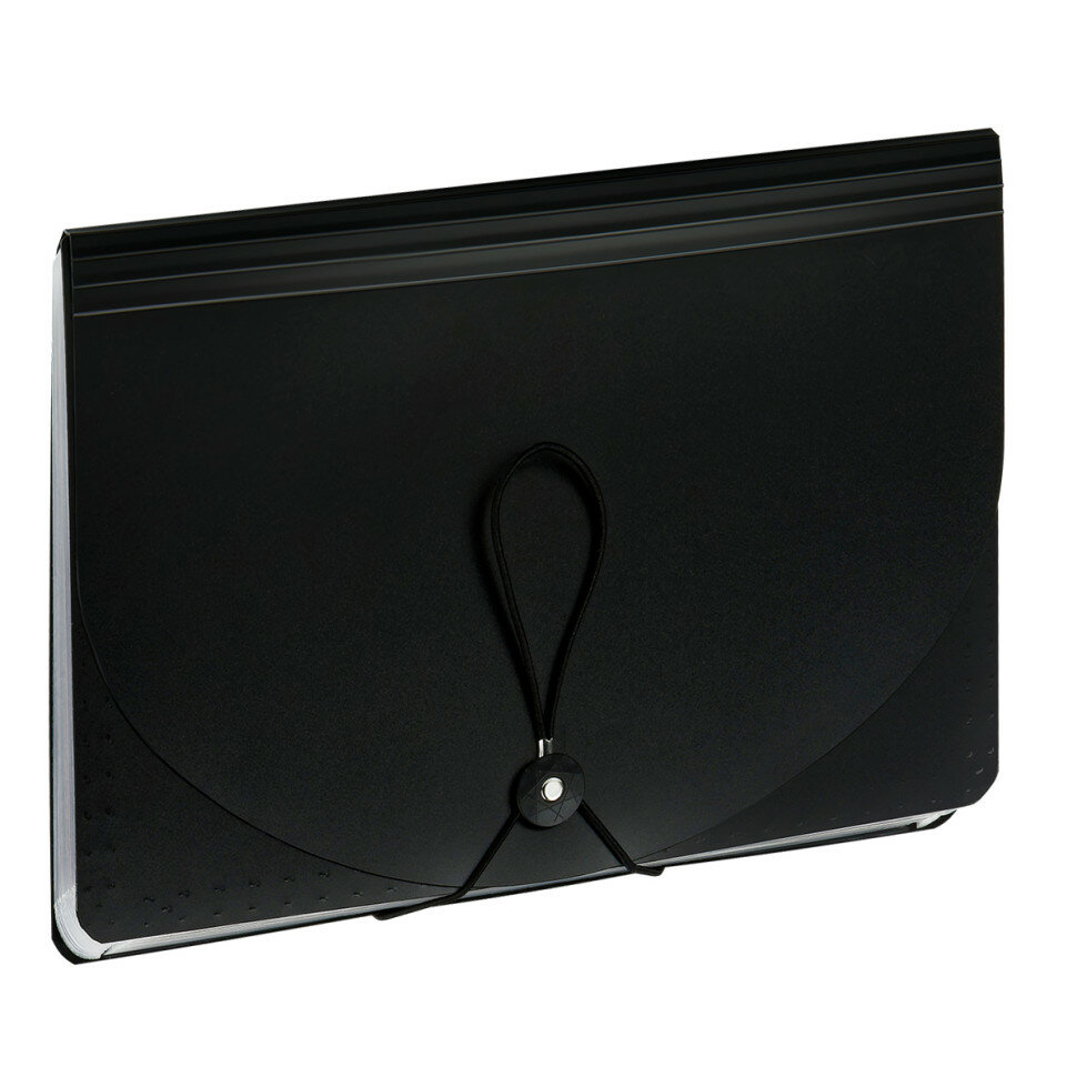 Папка-органайзер для хранения документов СТАММ А4, 13 отделений, черный, 381166