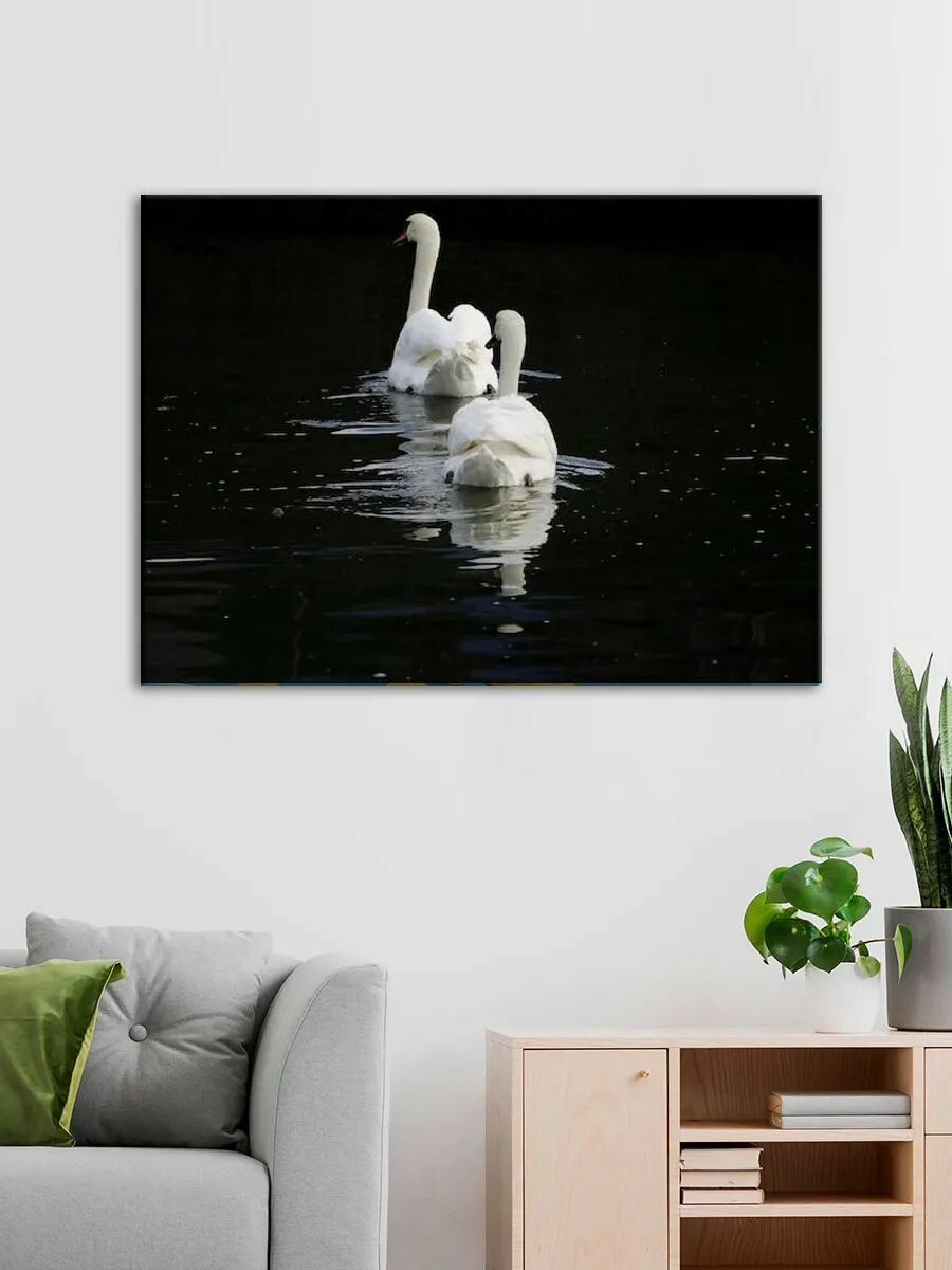 Картина на стену "Лебеди", 70х50 см