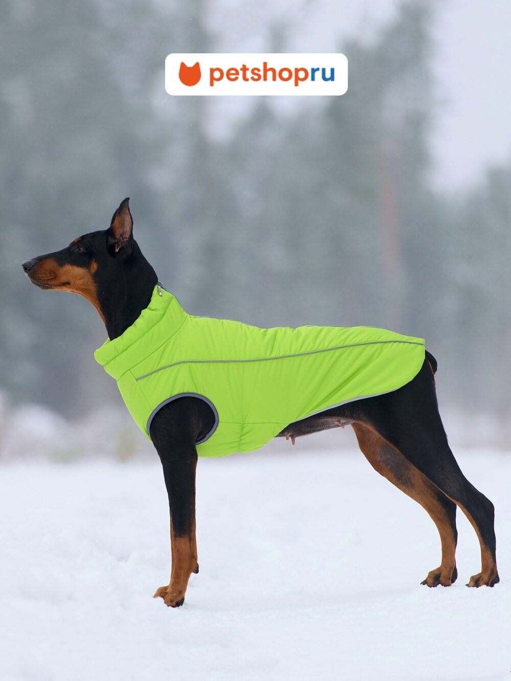 OSSO Жилет зимний для собак Аляска размер 55-1, цвет салатовый