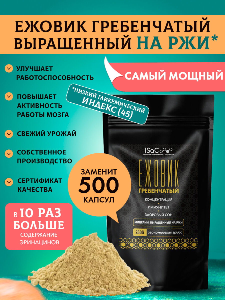 Ежовик гребенчатый мицелий, выращенный на ржи. Восстановление памяти и новых нейронных связей мозга.