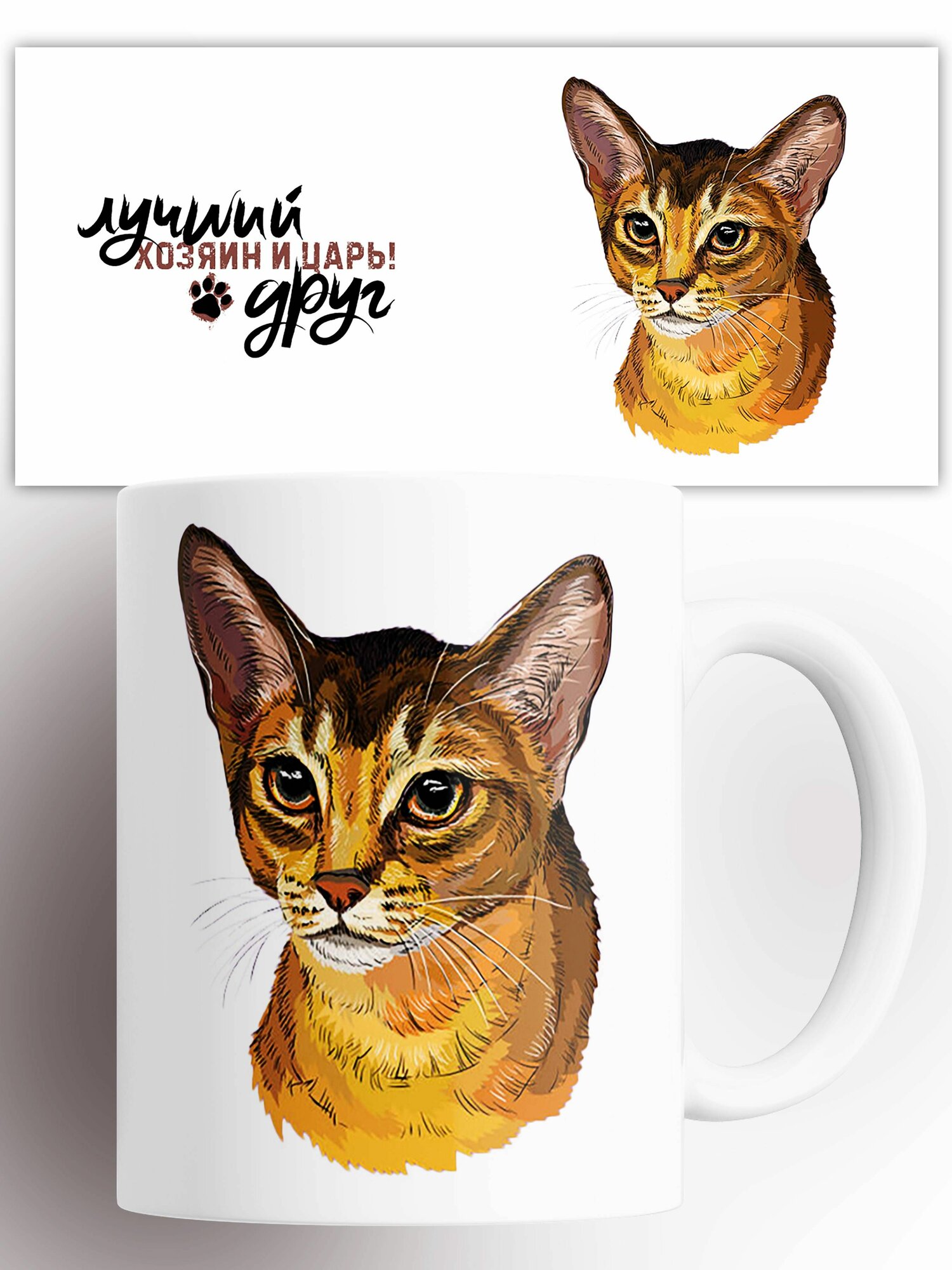 Кружка Абиссинская кошка cat друг человека хозяин и царь кошкалюб с принтом 330 мл