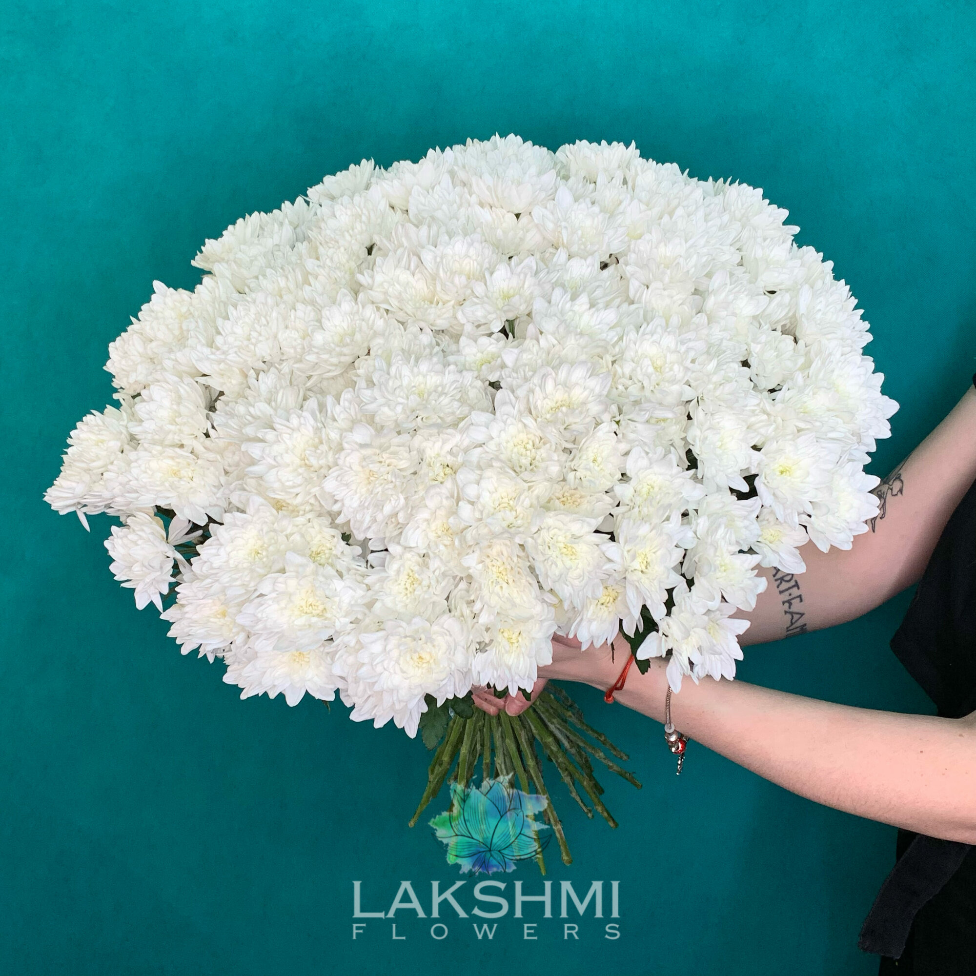 Букет из 35 белых кустовых хризантем под ленту / Кустовые хризантемы