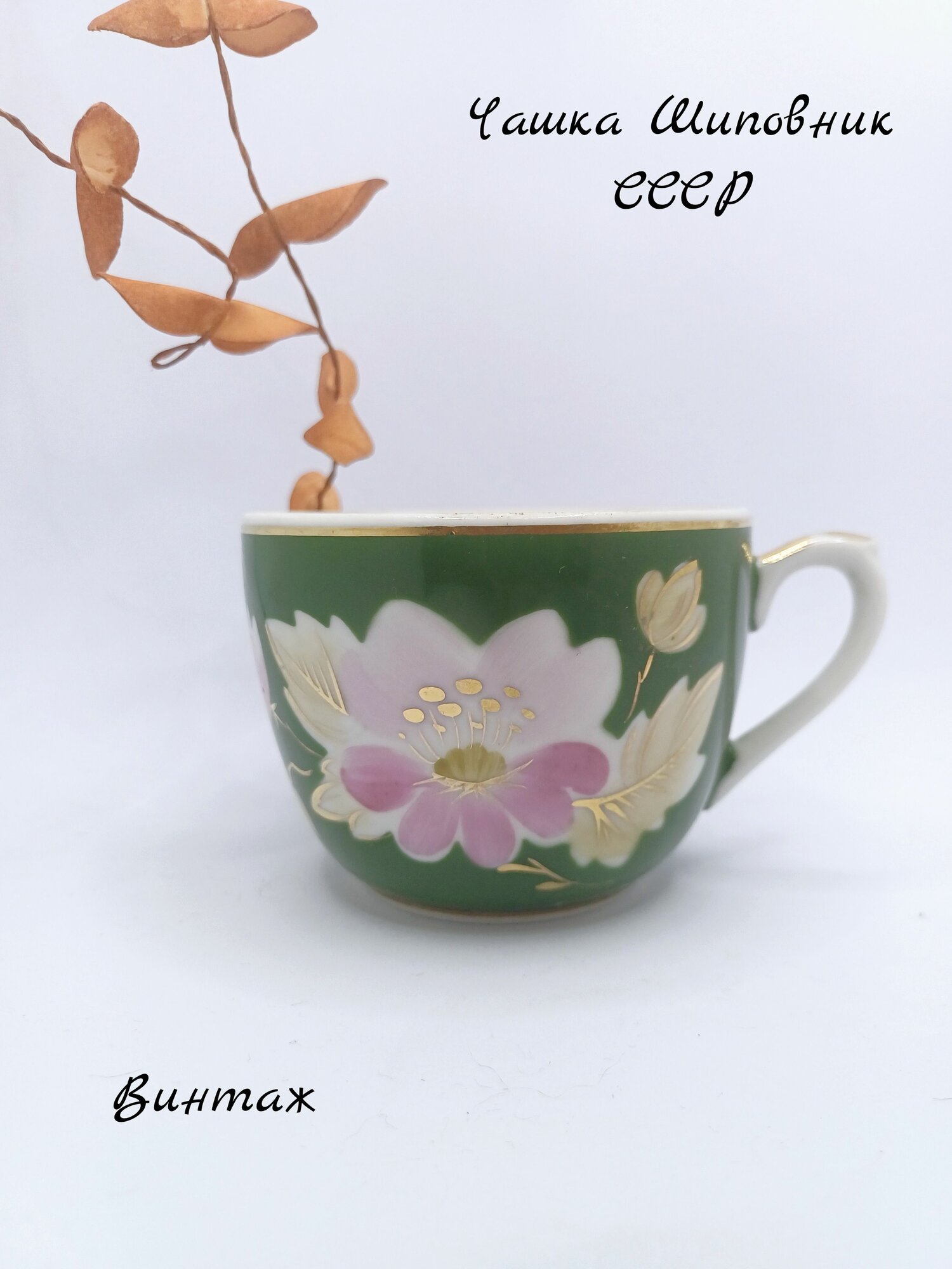 Чашка чайная - кофейная Шиповник винтажная, фарфор, крытье, золочение, роспись, ДФЗ Вербилки СССР