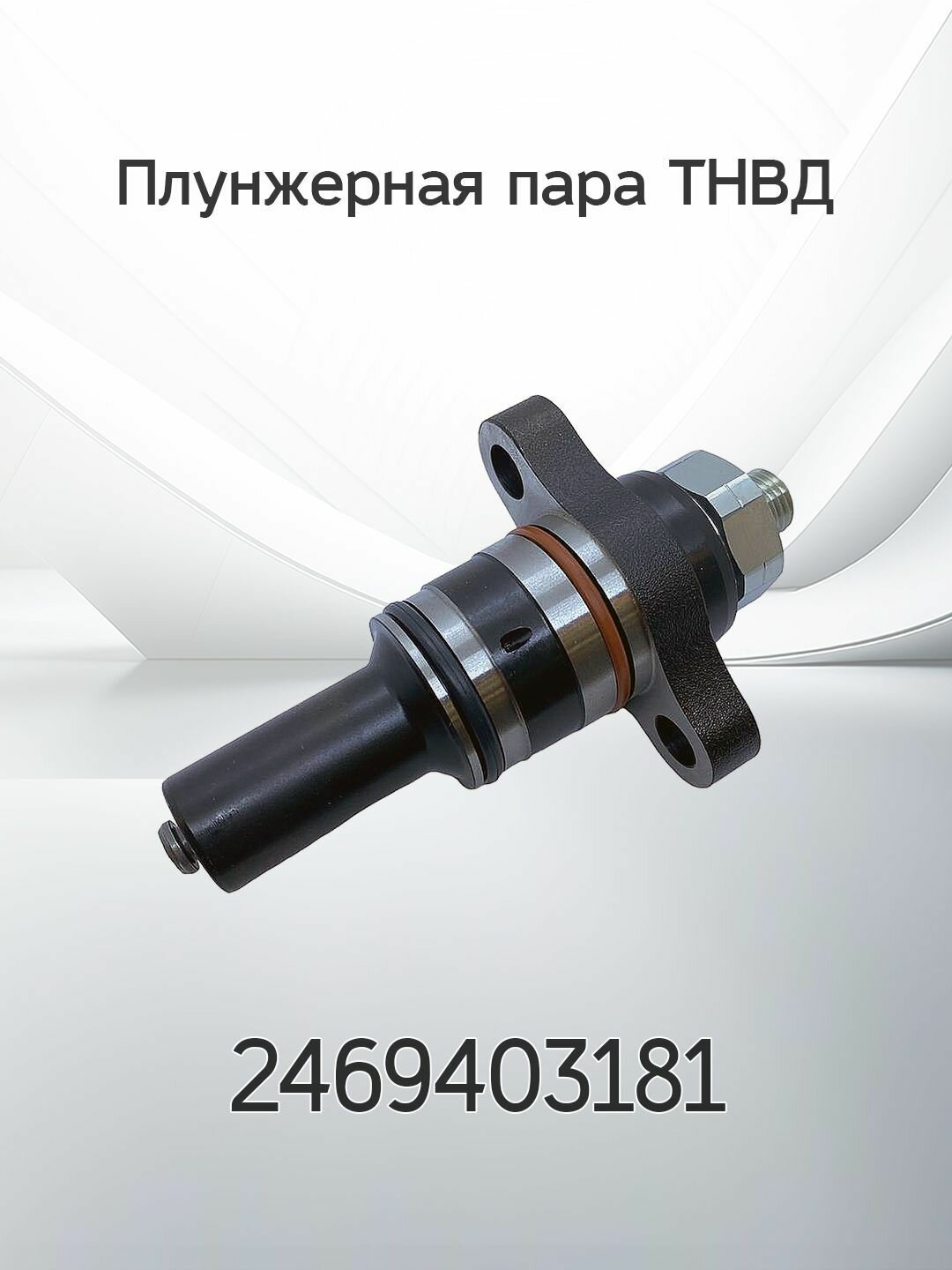 Плунжерная пара ТНВД RENAULT PREMIUM 2469403181